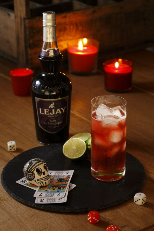Visit of the Lejay-Lagoute company